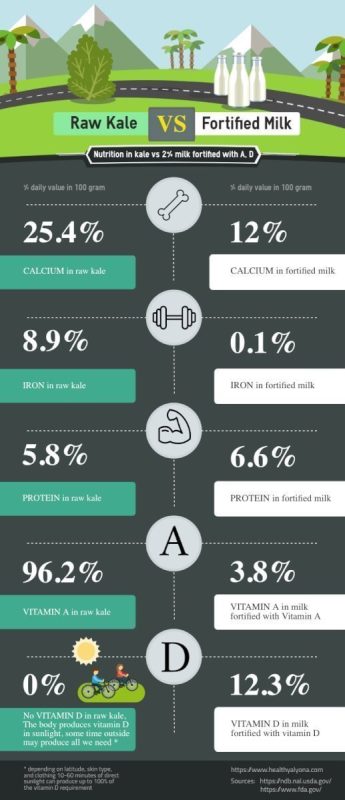 Kale Vs Milk Infographic - Healthy Alyona